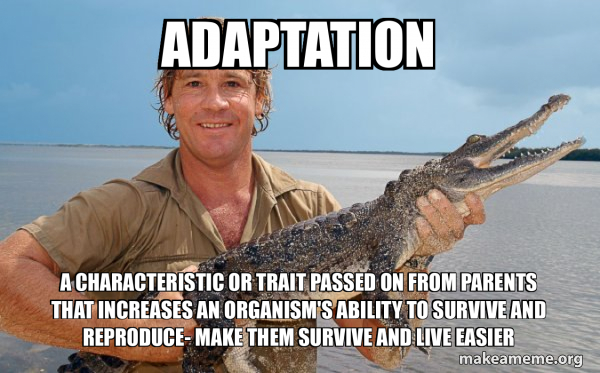 Adaptation A characteristic or trait passed on from parents that ...