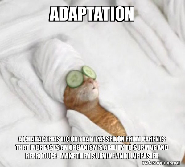 Adaptation a characteristic or trait passed on from parents that ...