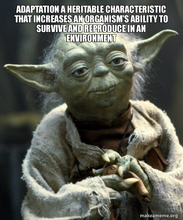 Adaptation a heritable characteristic that increases an organism's ...