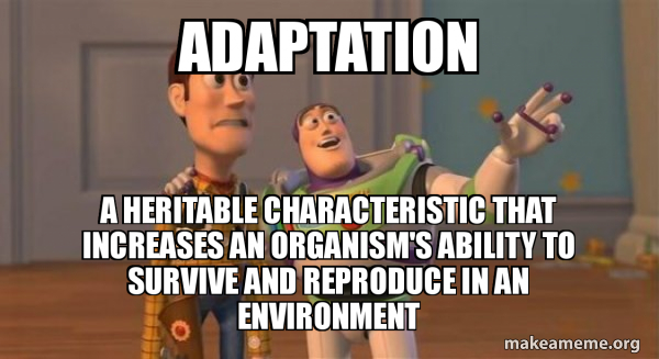 Adaptation a heritable characteristic that increases an organism's ...