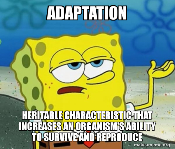 Adaptation heritable characteristic that increases an organism's ...