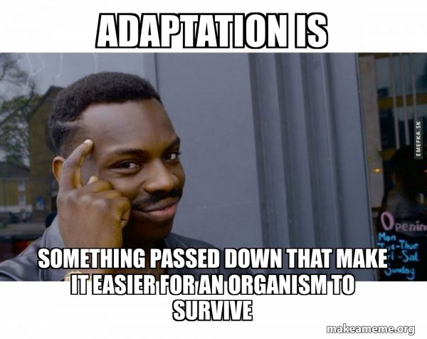 adaptation is something passed down that make it easier for an organism ...
