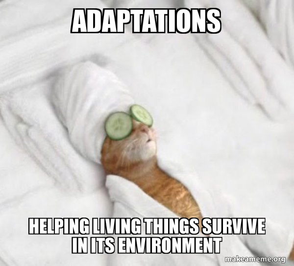 ADAPTATIONS helping living things survive in its environment - Pampered ...