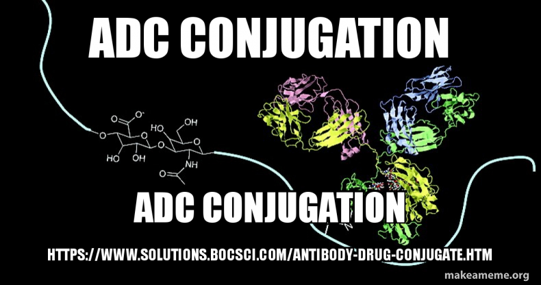 adc conjugation adc conjugation https://www.solutions.bocsci.com ...