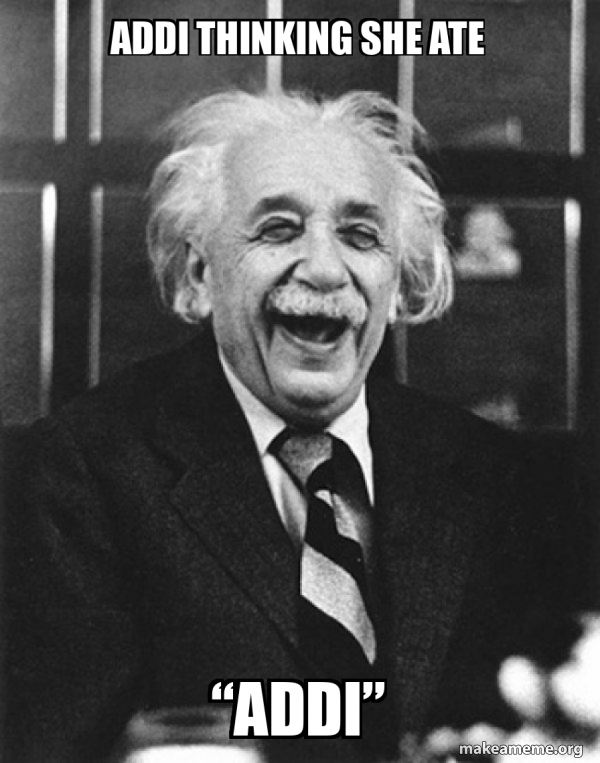 Addi thinking she ate “Addi” - Laughing Albert Einstein Meme Generator