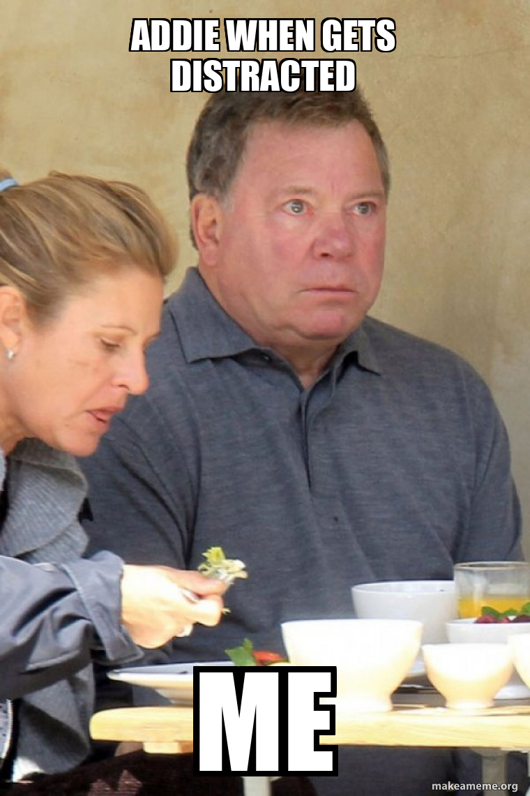 Addie when gets distracted Me - Stunned Shatner Meme Generator