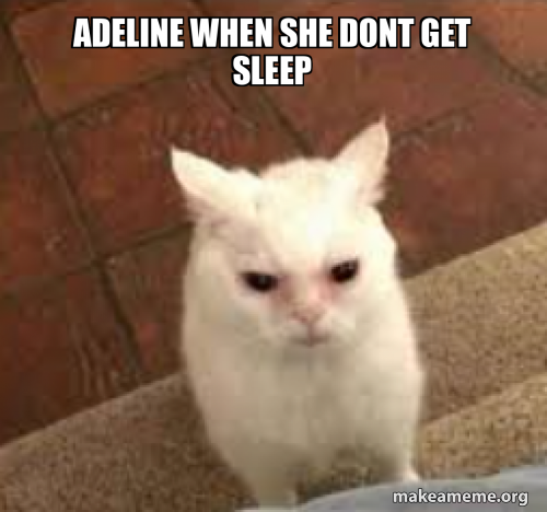 adeline when she dont get sleep Meme Generator