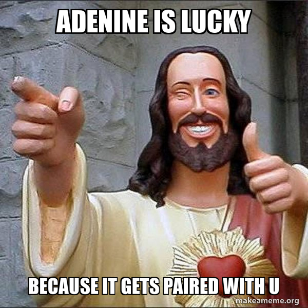 Adenine is lucky because it gets paired with U - Cool Jesus Meme Generator