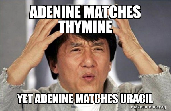 Adenine matches Thymine Yet Adenine matches Uracil - Jackie Chan Why ...