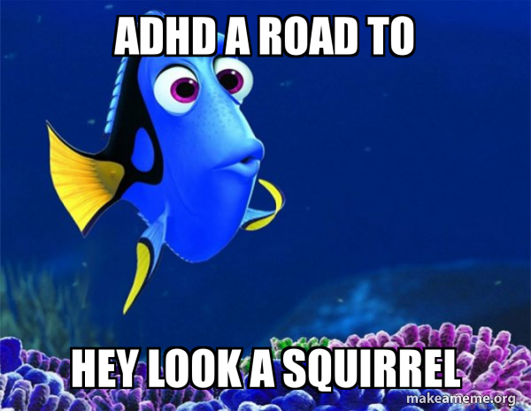 Squirrel Adhd Meme