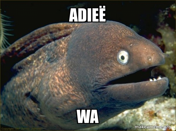 adieë wa - Bad Joke Eel Meme Generator