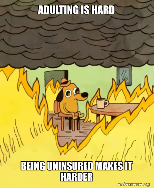 adulting is hard being uninsured makes it harder - This Is Fine Meme ...