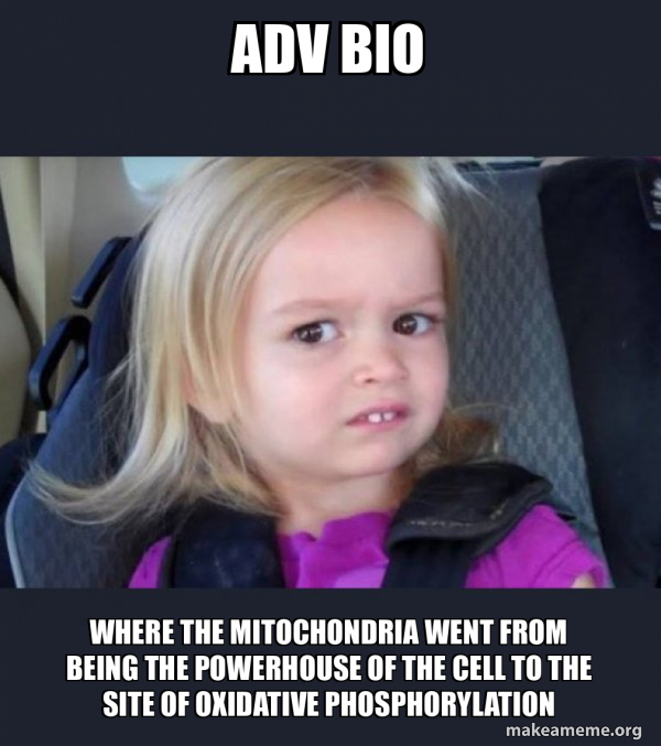 Adv Bio Where the mitochondria went from being the powerhouse of the ...
