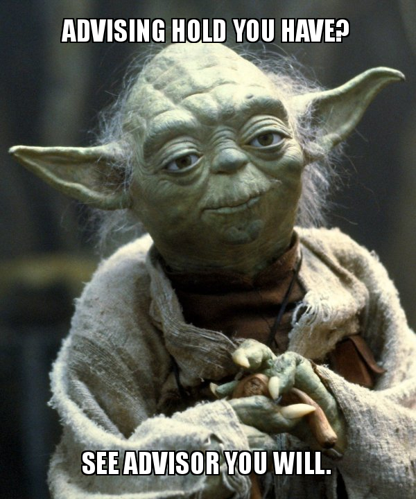 Advising hold you have? See Advisor you will. - Yoda Meme Generator