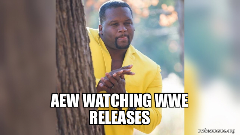 AEW watching wwe RELEASes Meme Generator