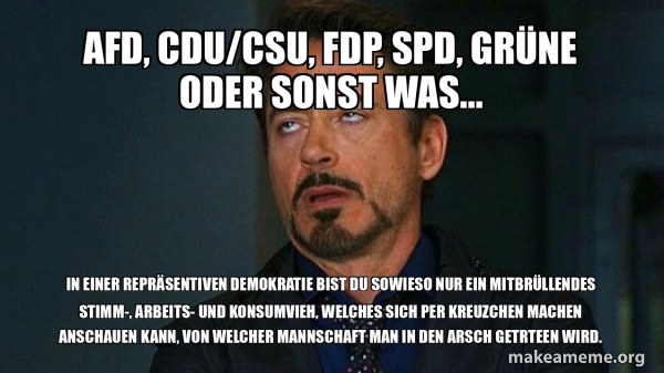 AfD, CDU/CSU, FDP, SPD, Grüne oder sonst was... In einer repräsentiven ...