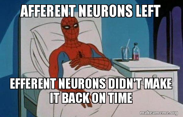 Neurons Memes Neuron Activation Memes & GIFs Imgflip