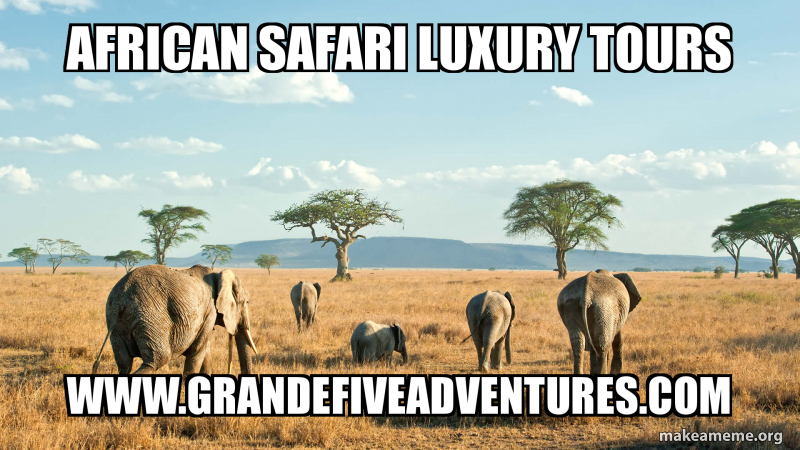 African Safari Luxury Tours www.grandefiveadventures.com - African ...