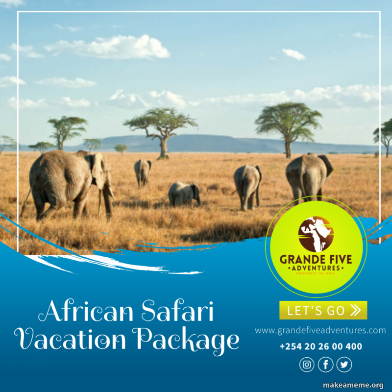 - African Safari Vacation Package Meme Generator