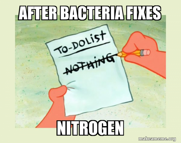 Nitrogen Memes Linking Glucose Signaling To Nitrogen Utilization By