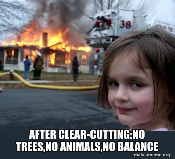 after clear-cutting:no trees,no animals,no balance - Disaster Girl Meme ...