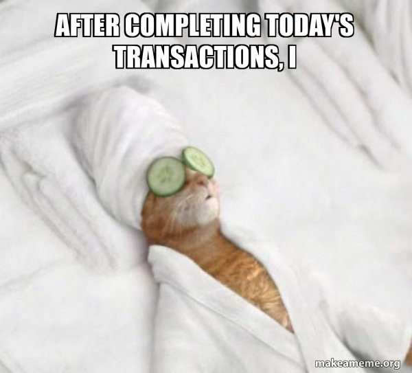 After completing today's transactions, I - Pampered Cat Meme Meme Generator