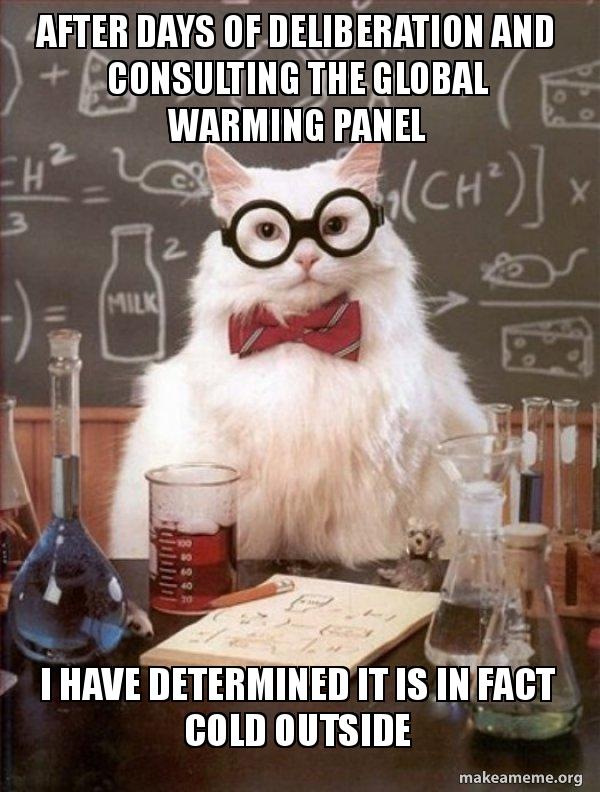 Cat Global Warming Memes What Doge Taught Me About The Internet | The