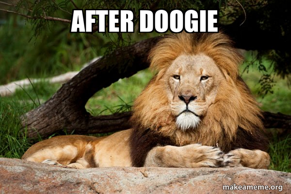 After Doogie - Contemplative Lion Meme Generator