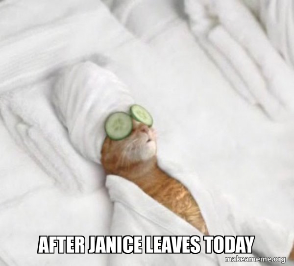 after janice leaves today - Pampered Cat Meme Meme Generator