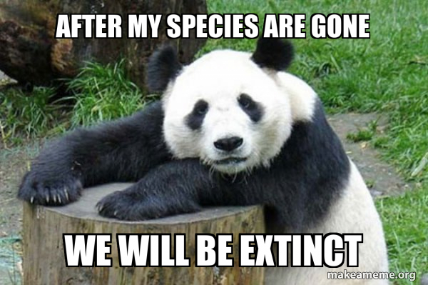 after my species are gone we will be extinct - Confession Panda Meme ...
