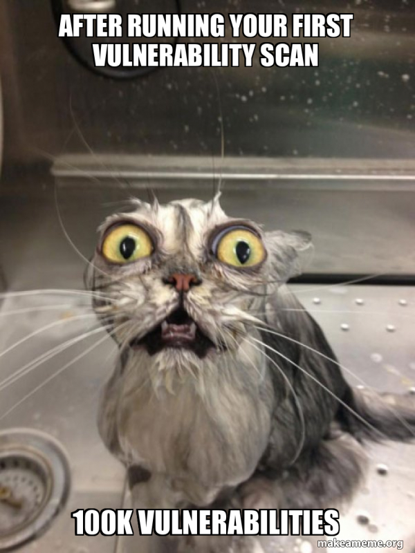 After running your first vulnerability scan 100K vulnerabilities - Cat ...