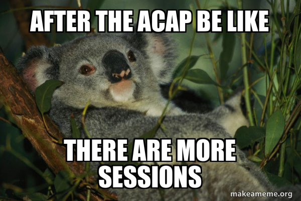 After the ACAP be like There are more sessions - Laid Back Koala Meme ...