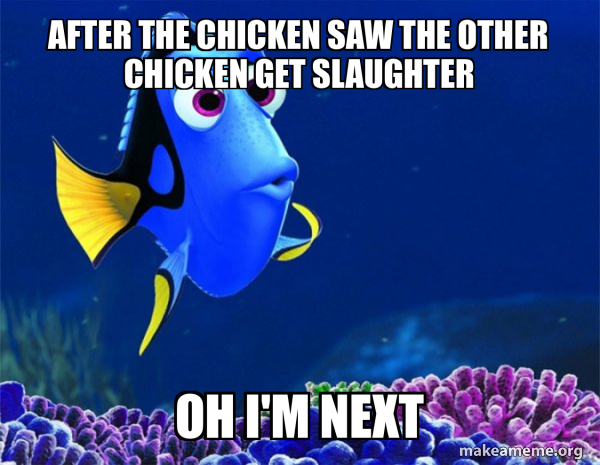After the chicken saw the other chicken get slaughter Oh I'm next ...