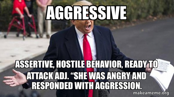 aggressive assertive, hostile behavior, ready to attack adj. “She was ...