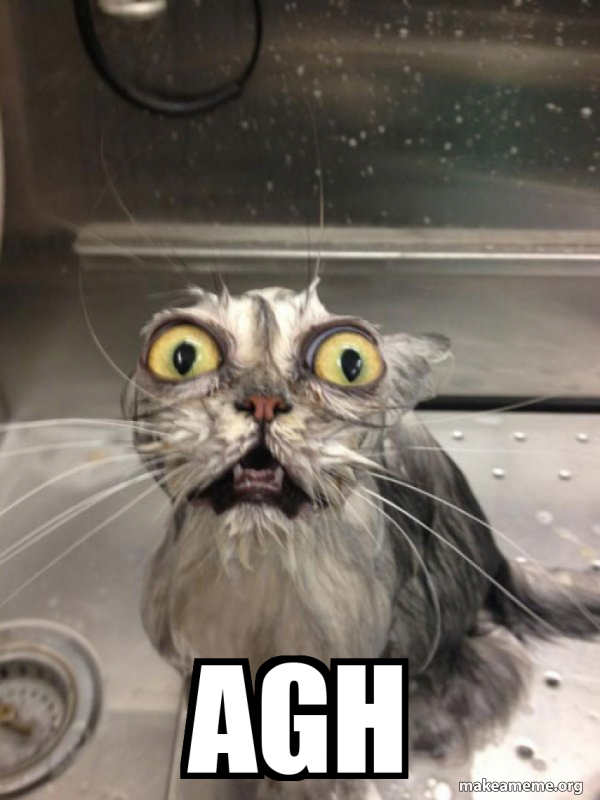 agh - Cat bath Meme Generator