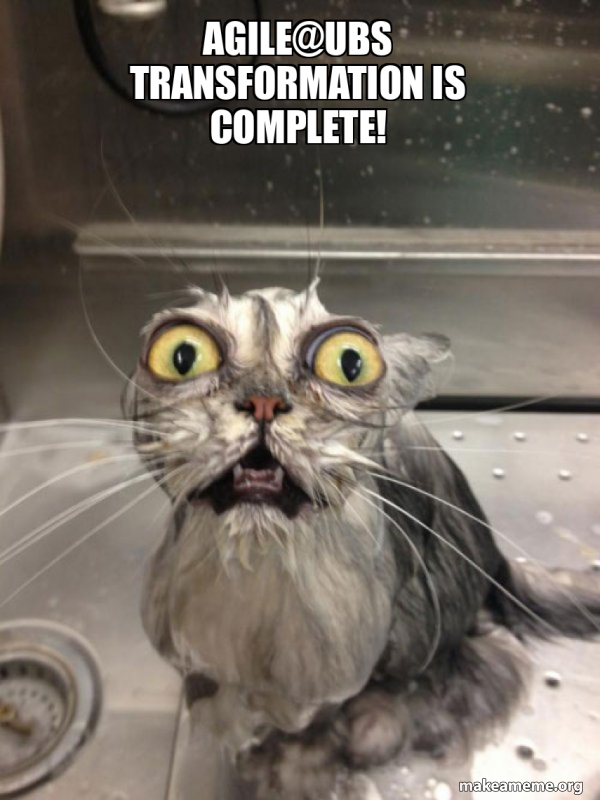 Agile@UBS transformation is complete! - Cat bath Meme Generator