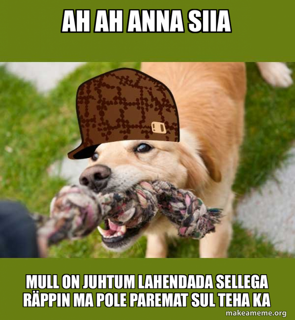 AH AH ANNA SIIA MULL ON JUHTUM LAHENDADA SELLEGA RÄPPIN MA POLE PAREMAT ...