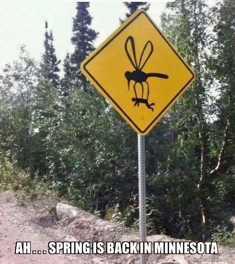 ah . . . spring is back in minnesota Meme Generator