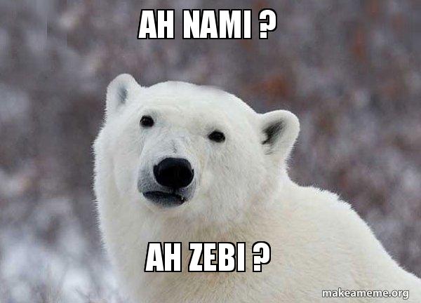 ah nami ? ah zebi ? - Popular Opinion Polar Bear Meme Generator
