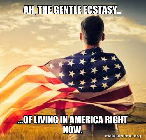 Ah, the gentle ecstasy... ...of living in America right now. Meme Generator