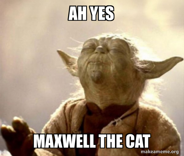 ah yes maxwell the cat - Yoda Smell Meme Generator