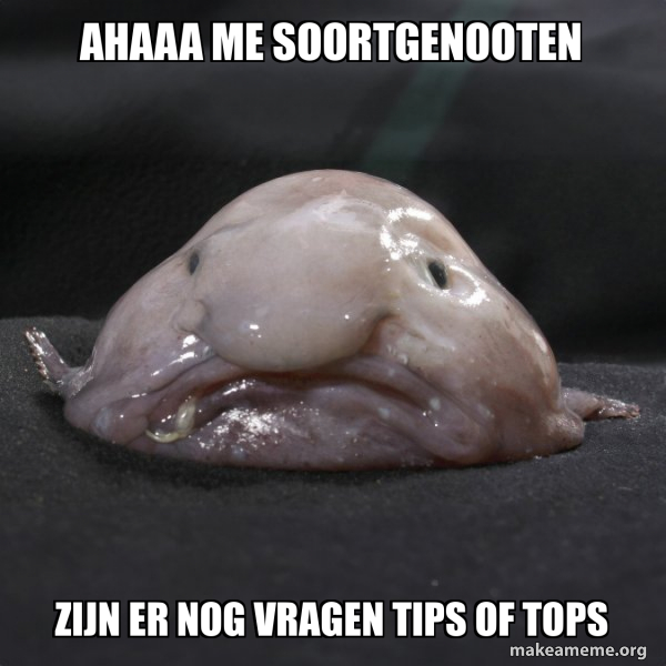 ahaaa me soortgenooten zijn er nog vragen tips of tops - Blobfish Meme ...