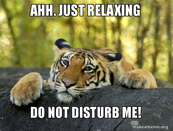 Ahh. just relaxing DO NOT DISTURB ME! - Confession Tiger Meme Generator