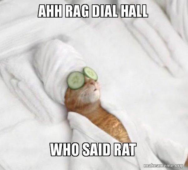 Ahh rag dial hall Who said rat - Pampered Cat Meme Meme Generator