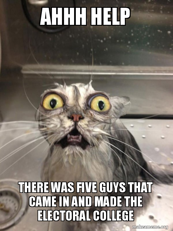 ahhh help there was five guys that came in and made the electoral ...