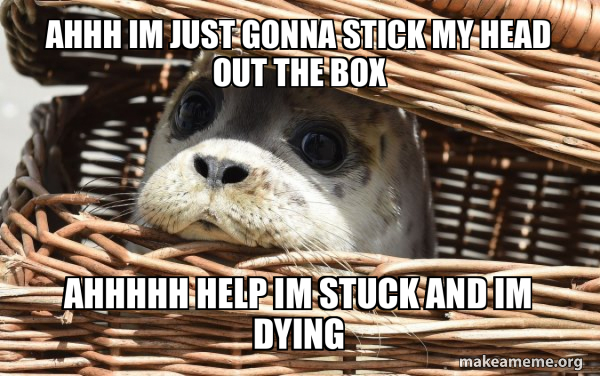 ahhh im just gonna stick my head out the box AHHHHH HELP IM STUCK AND ...