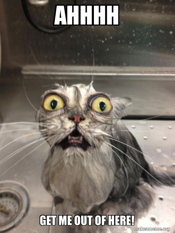 Ahhhh Get Me Out Of Here Cat Bath Meme Generator