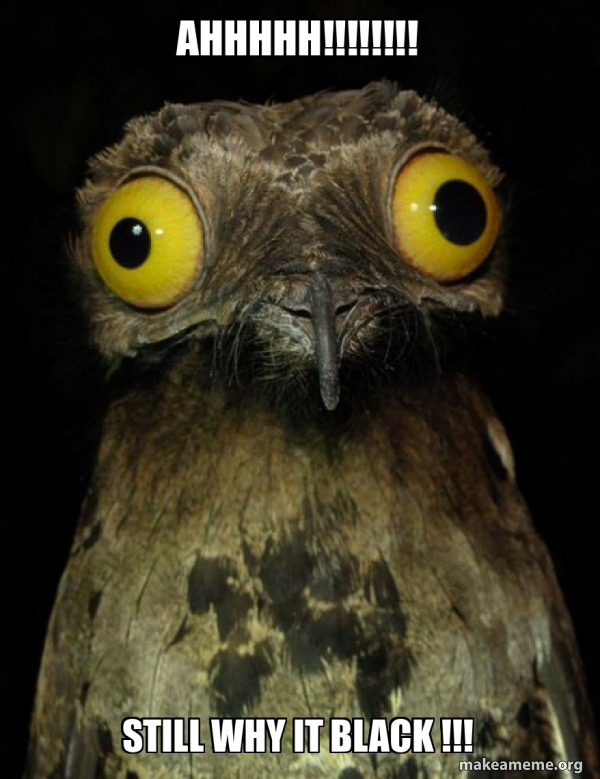 ahhhhh!!!!!!!! still why it black !!! - Weird Stuff I do Potoo Meme ...