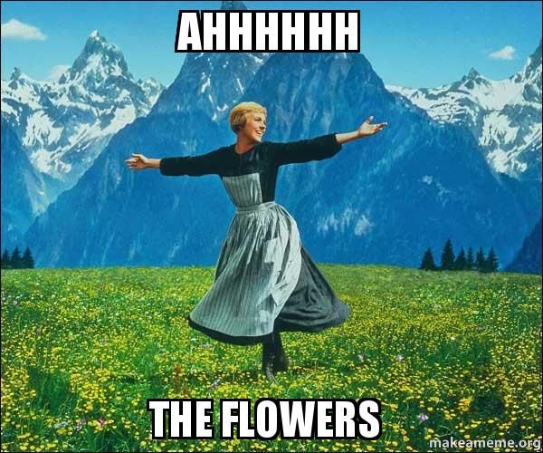 ahhhhhh the flowers - Sound of Music Meme Generator
