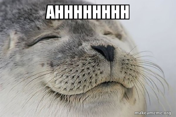 ahhhhhhhh - Satisfied Seal Meme Generator